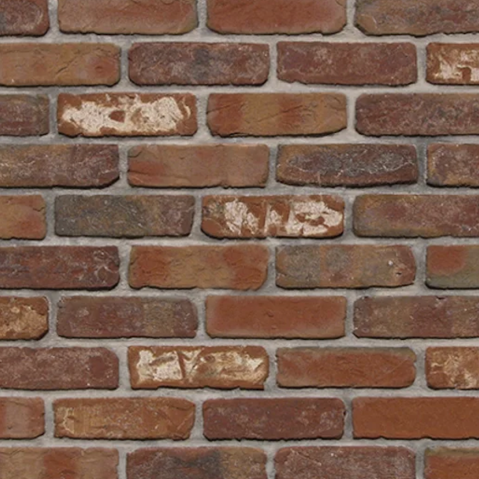 Thin Clay Brick Veneer - Stratford - Sample